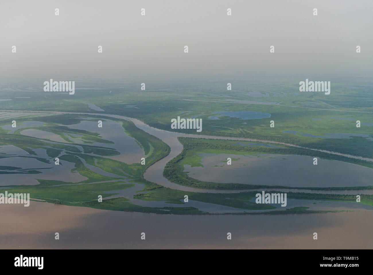 Delta del parana hi-res stock photography and images - Alamy