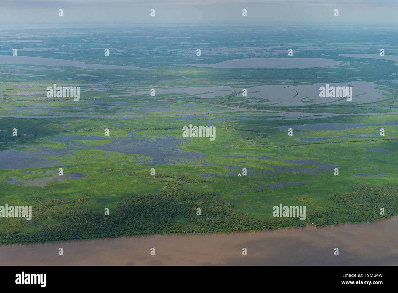 Aerial image of the Paraná Delta (Spanish: Delta del Paraná) is the ...