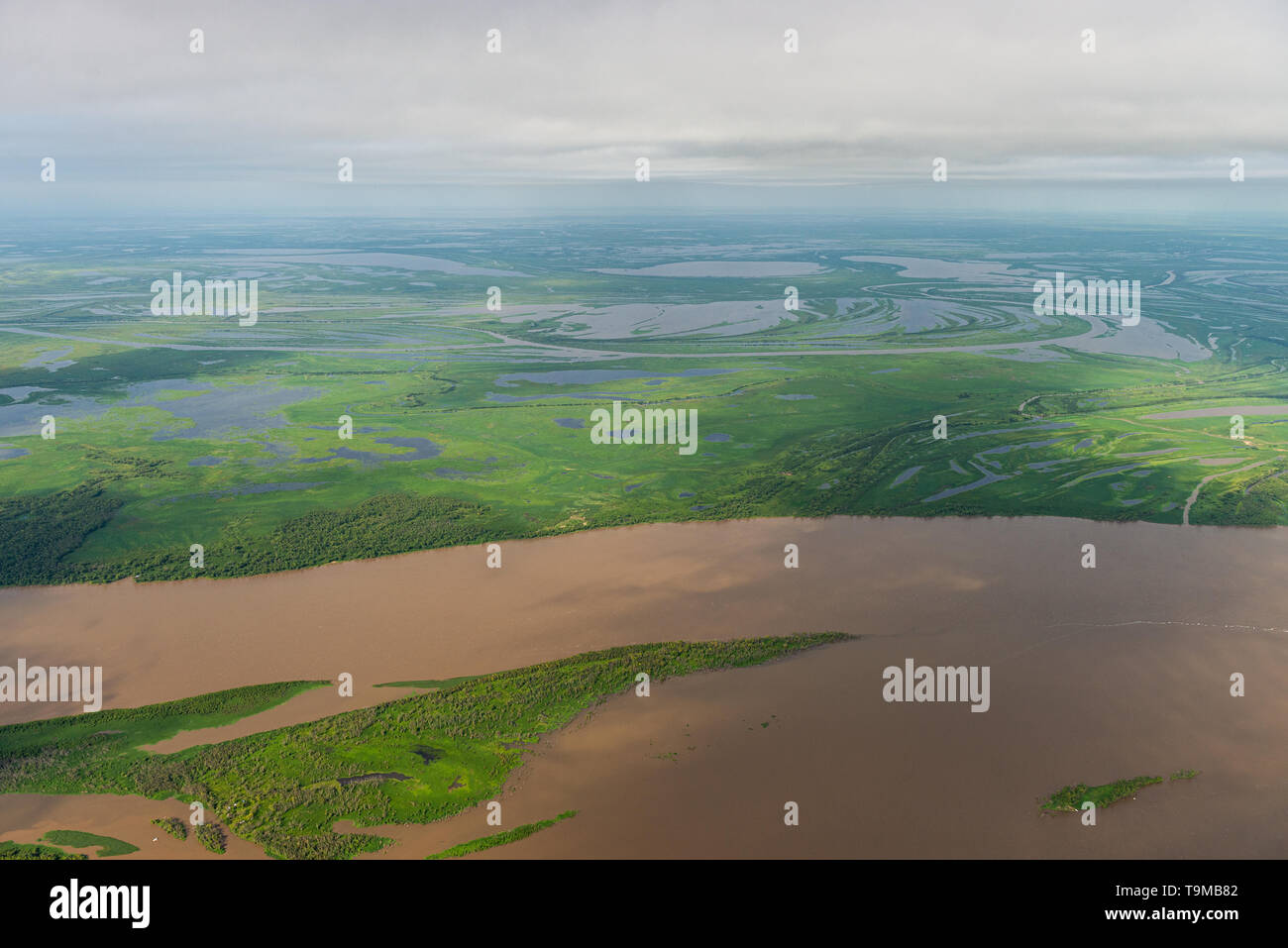 Aerial image of the ParanÃ¡ Delta (Spanish: Delta del ParanÃ¡) is the ...