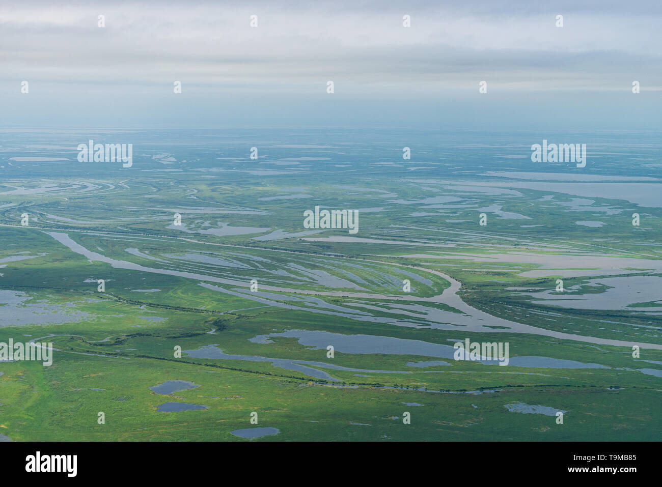 Aerial image of the Paraná Delta (Spanish: Delta del Paraná) is the ...