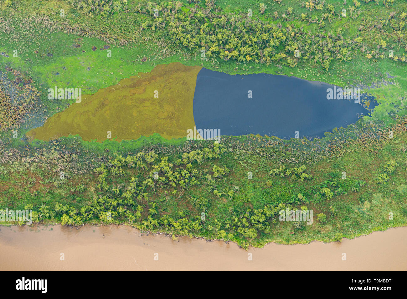 Aerial image of the Paraná Delta (Spanish: Delta del Paraná) is the ...
