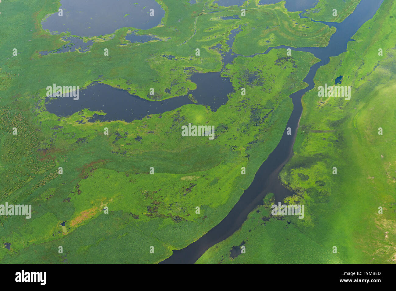 Aerial image of the Paraná Delta (Spanish: Delta del Paraná) is the ...