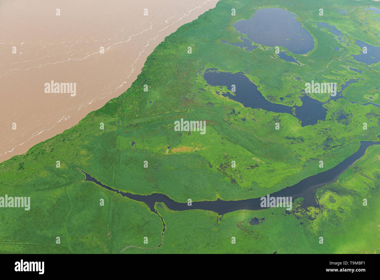 Delta del parana hi-res stock photography and images - Alamy