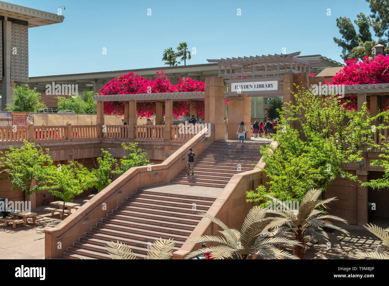 Tempe, arizona library hi-res stock photography and images - Alamy