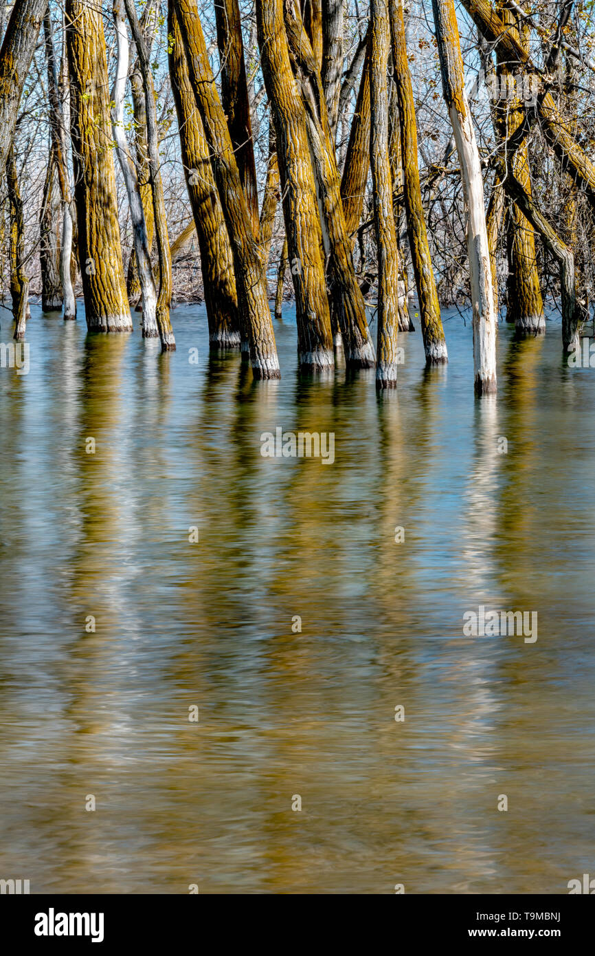Spring high water hi-res stock photography and images - Alamy