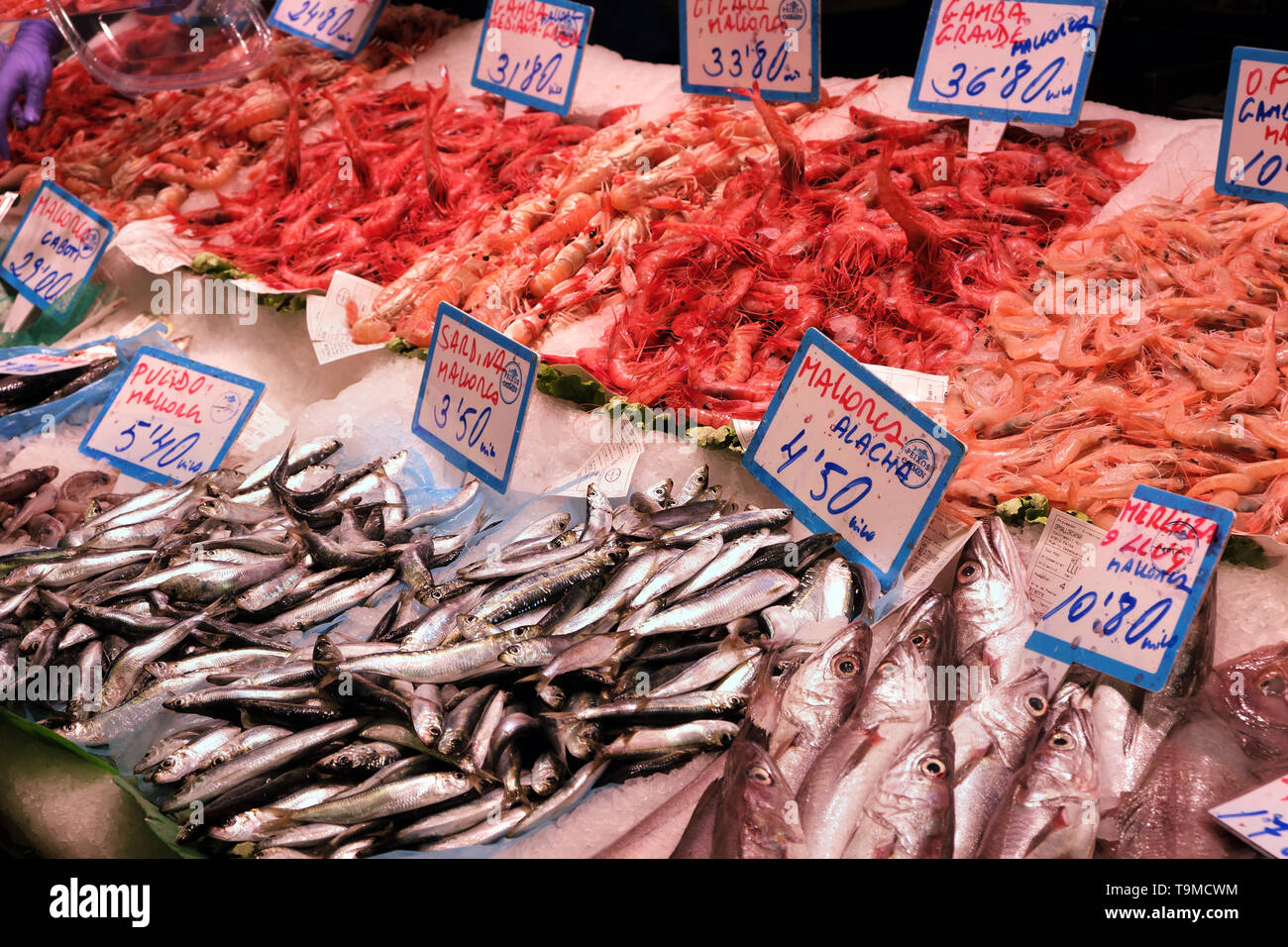 Palma Mallorca, Spain - March 20, 2019 : fresh fish and seafood display ...
