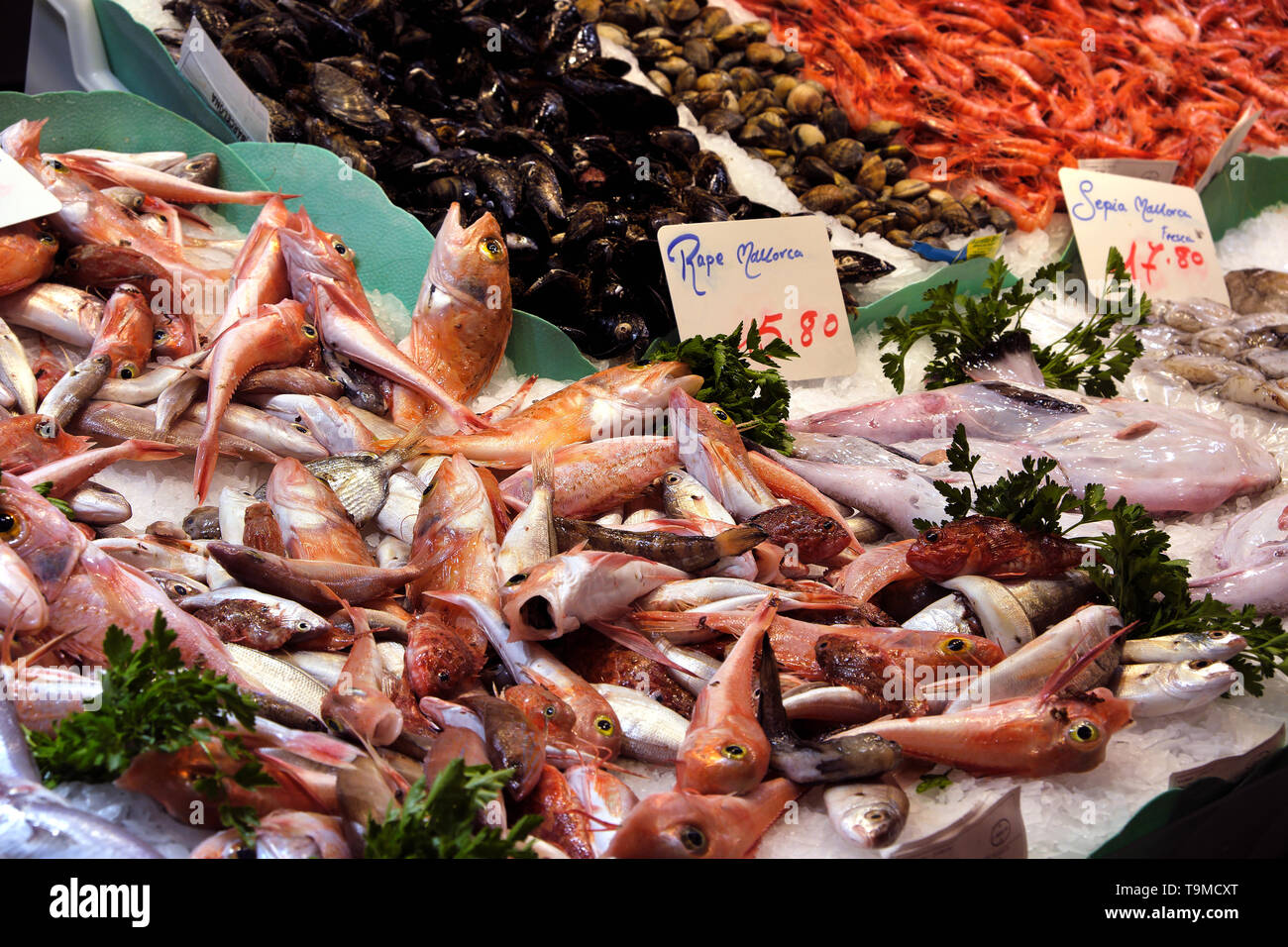 Palma Mallorca, Spain - March 20, 2019 : fresh fish and seafood display ...