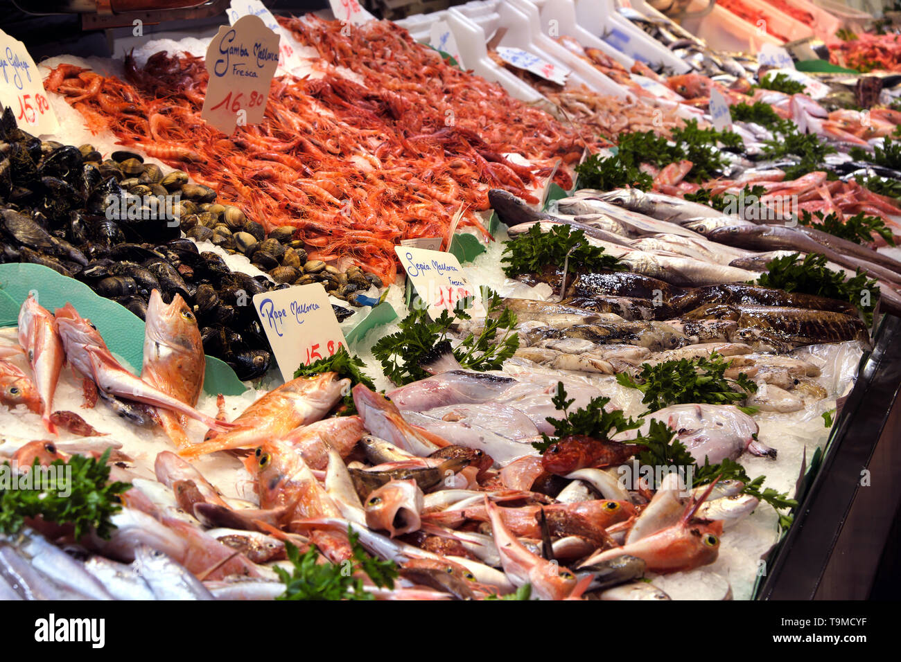 Palma Mallorca, Spain - March 20, 2019 : fresh fish and seafood display ...
