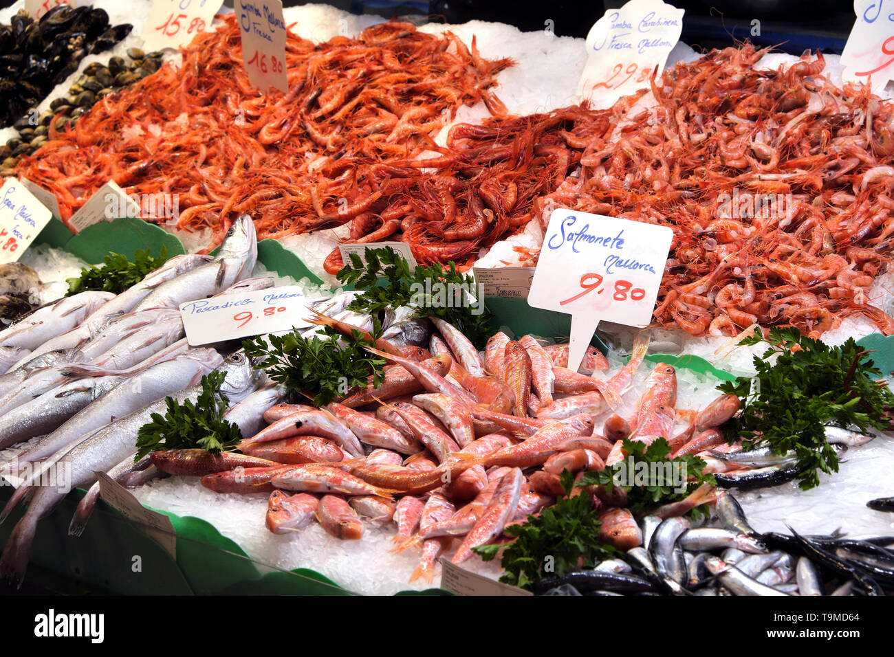 Prawn sale seafood selling shrimp hi-res stock photography and images ...