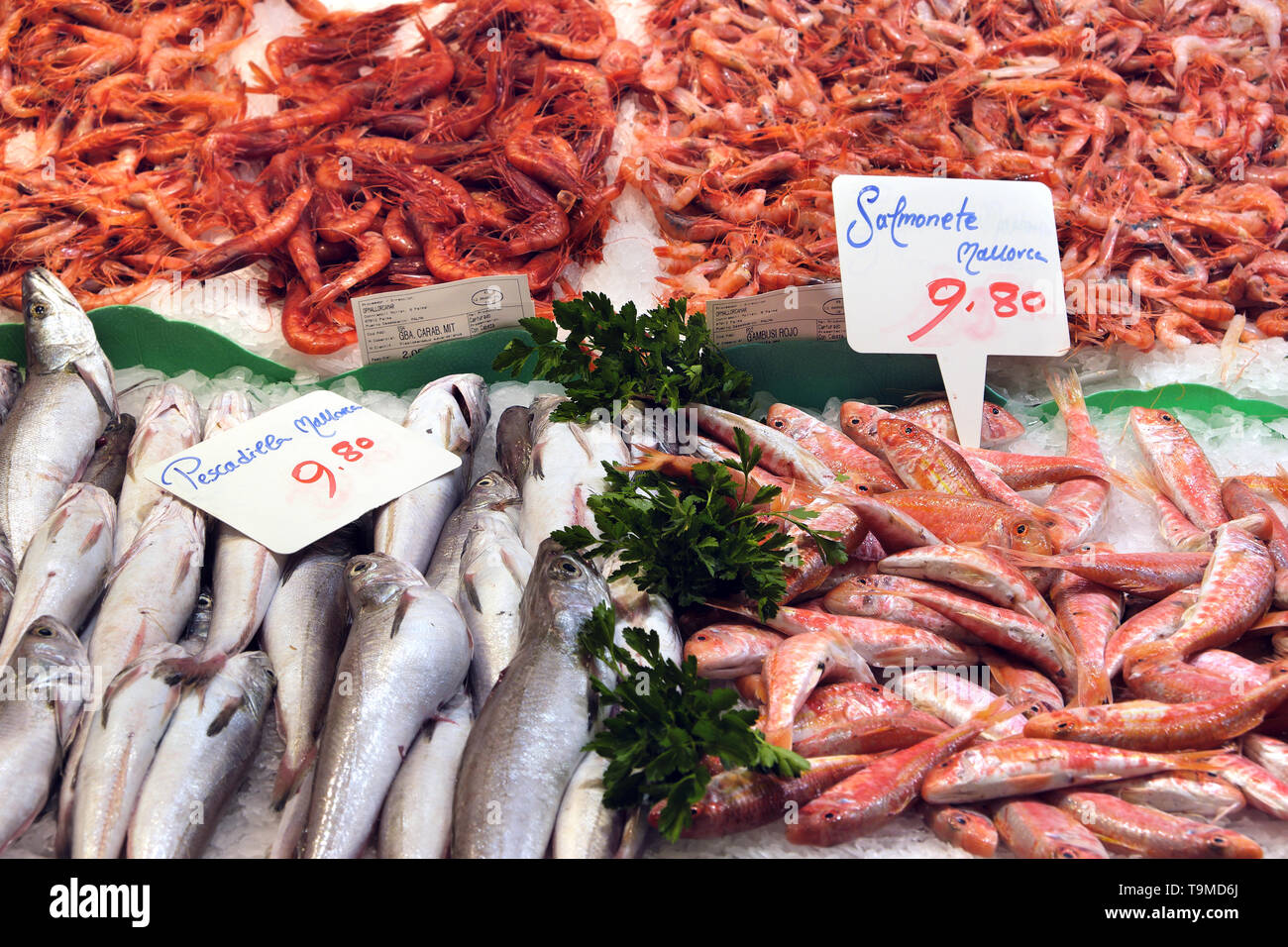 Palma Mallorca, Spain - March 20, 2019 : fresh fish and seafood display ...