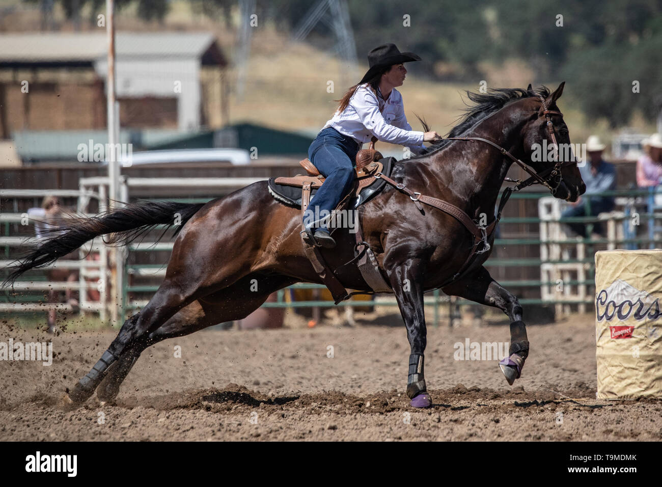 Rodeo action at the Cottonwood Rodeo in Cottonwood, California Stock ...