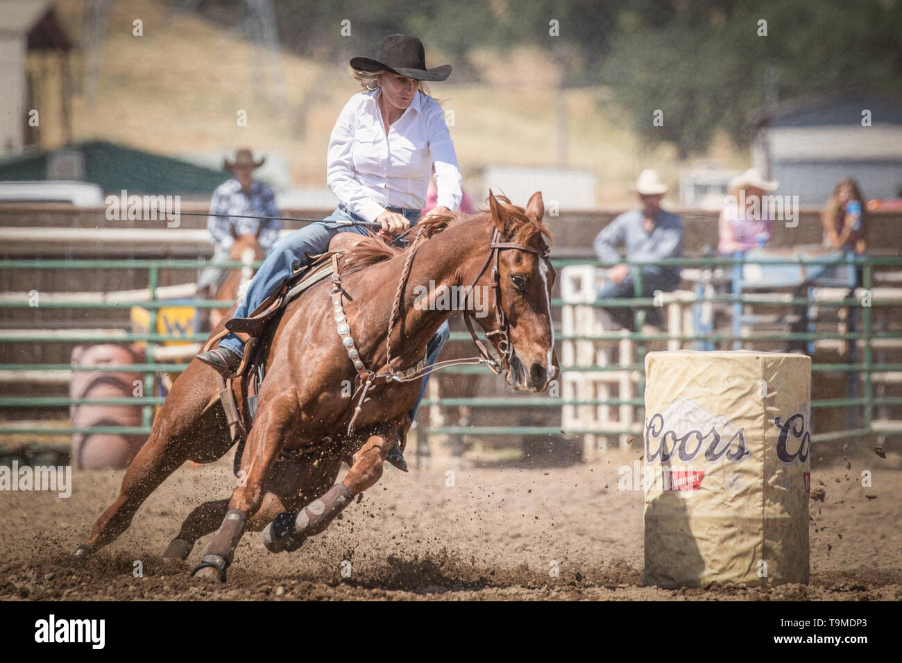 Rodeo action at the Cottonwood Rodeo in Cottonwood, California Stock ...