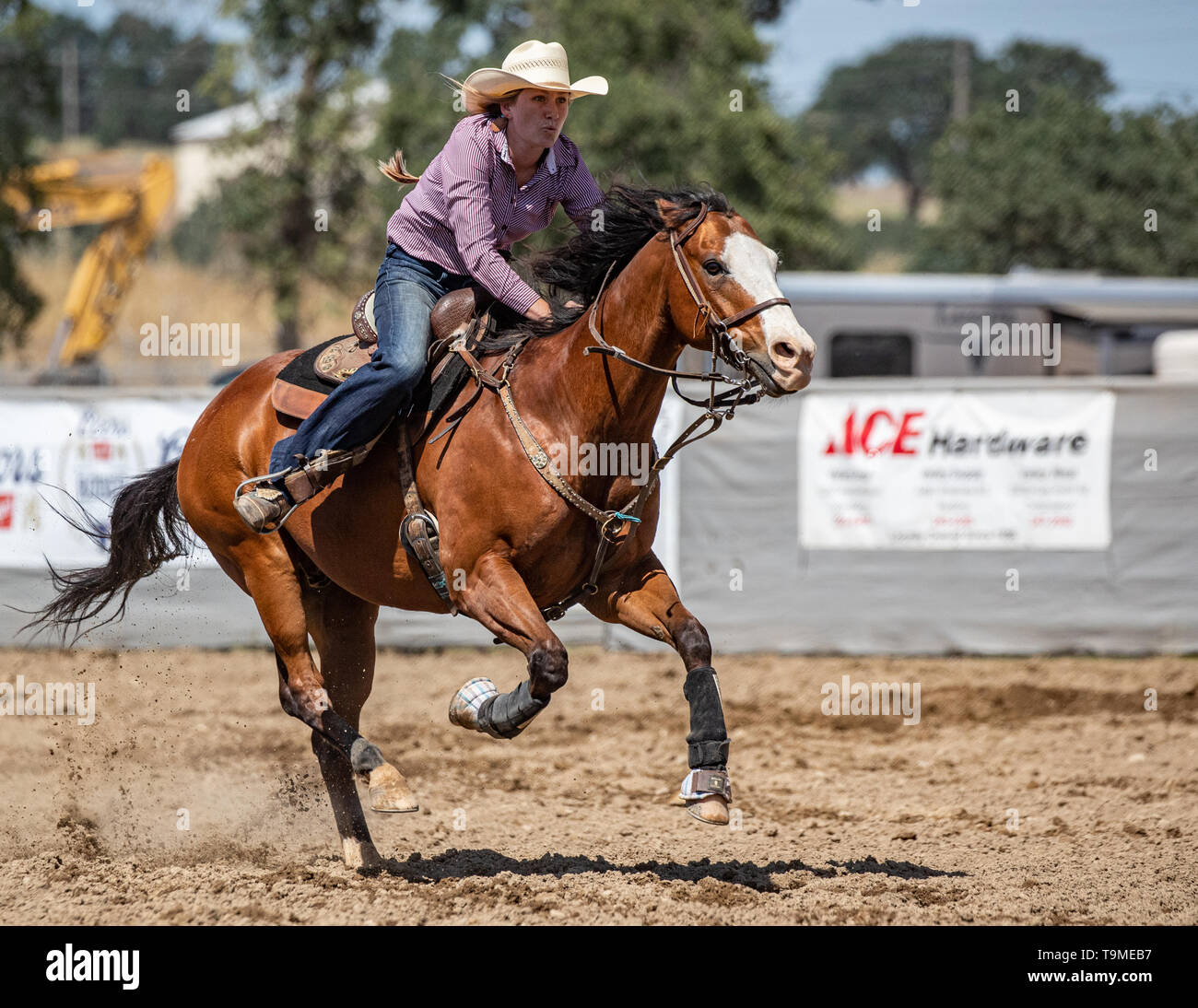Barrel racing cowgirls in action hi-res stock photography and images ...