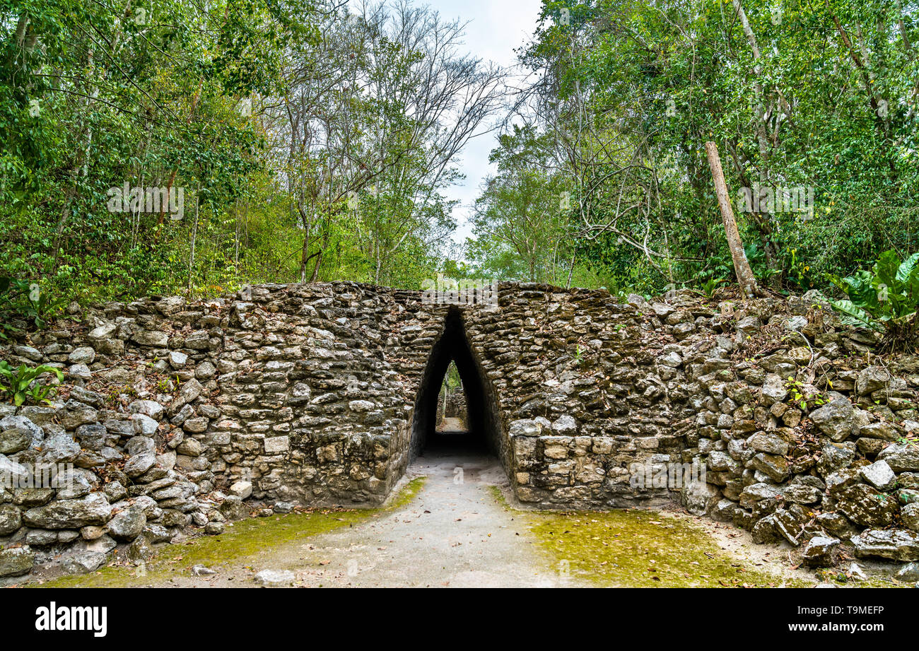 Ancient Mayan ruins at Becan in Mexico Stock Photo - Alamy