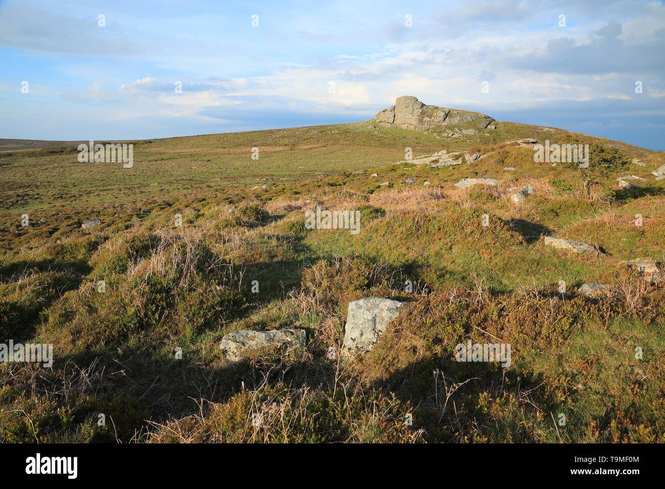 Haytor, Dartmoor National Park, Devon, England, UK Stock Photo - Alamy