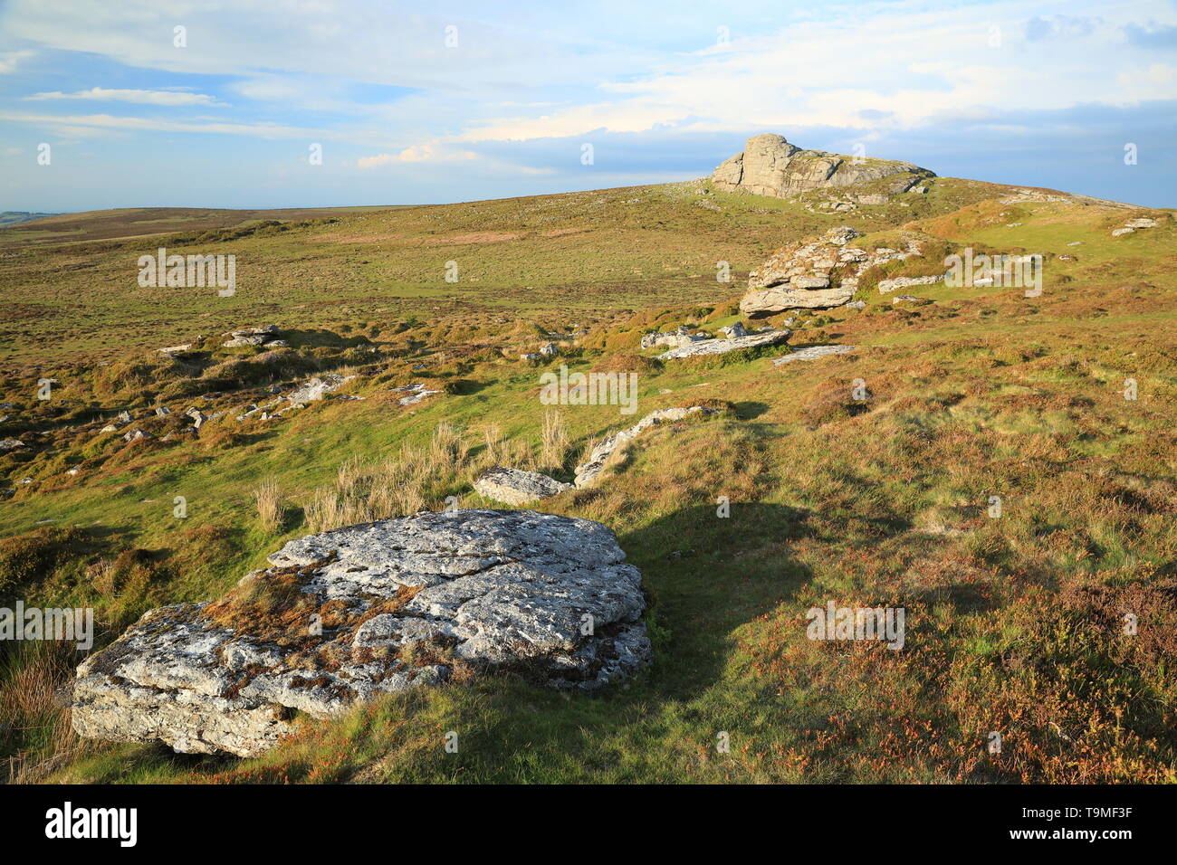 Haytor, Dartmoor National Park, Devon, England, UK Stock Photo - Alamy