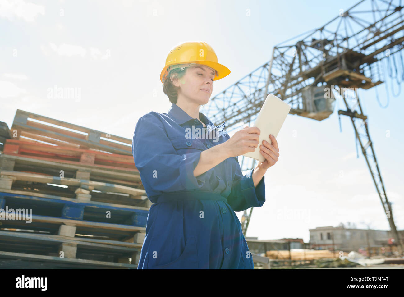 Female Worker Using Tablet in Sunlight Stock Photo - Alamy