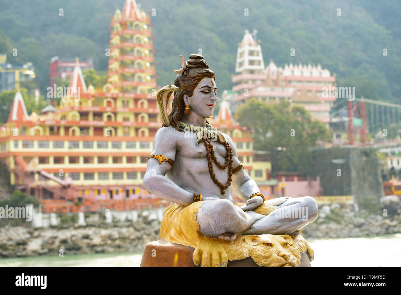Stunning view of the statue of sitting Lord Shiva on the riverbank of ...