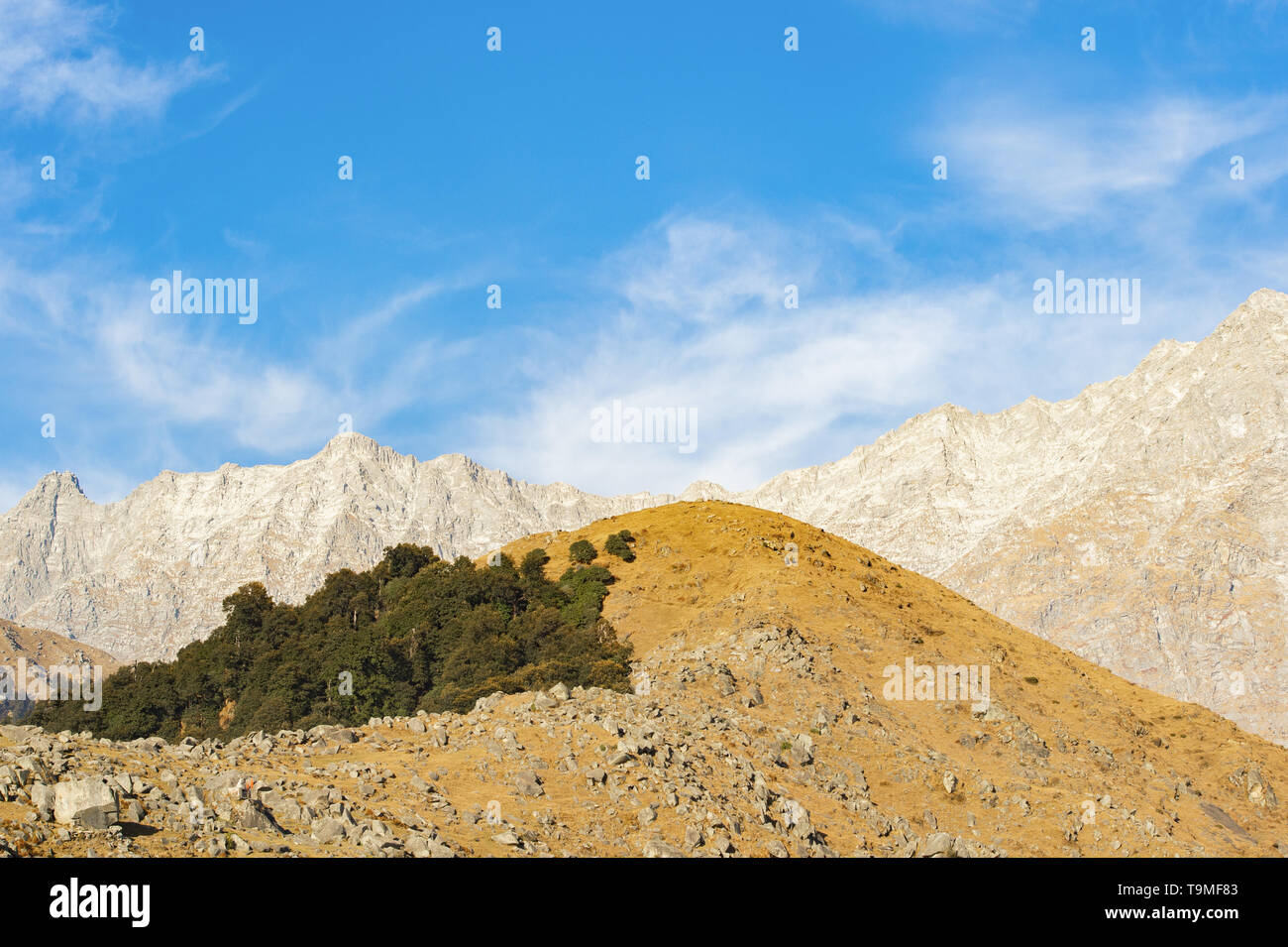 Stunning view of some peaks of the Himalayas Mountains in Triund. Sunny ...