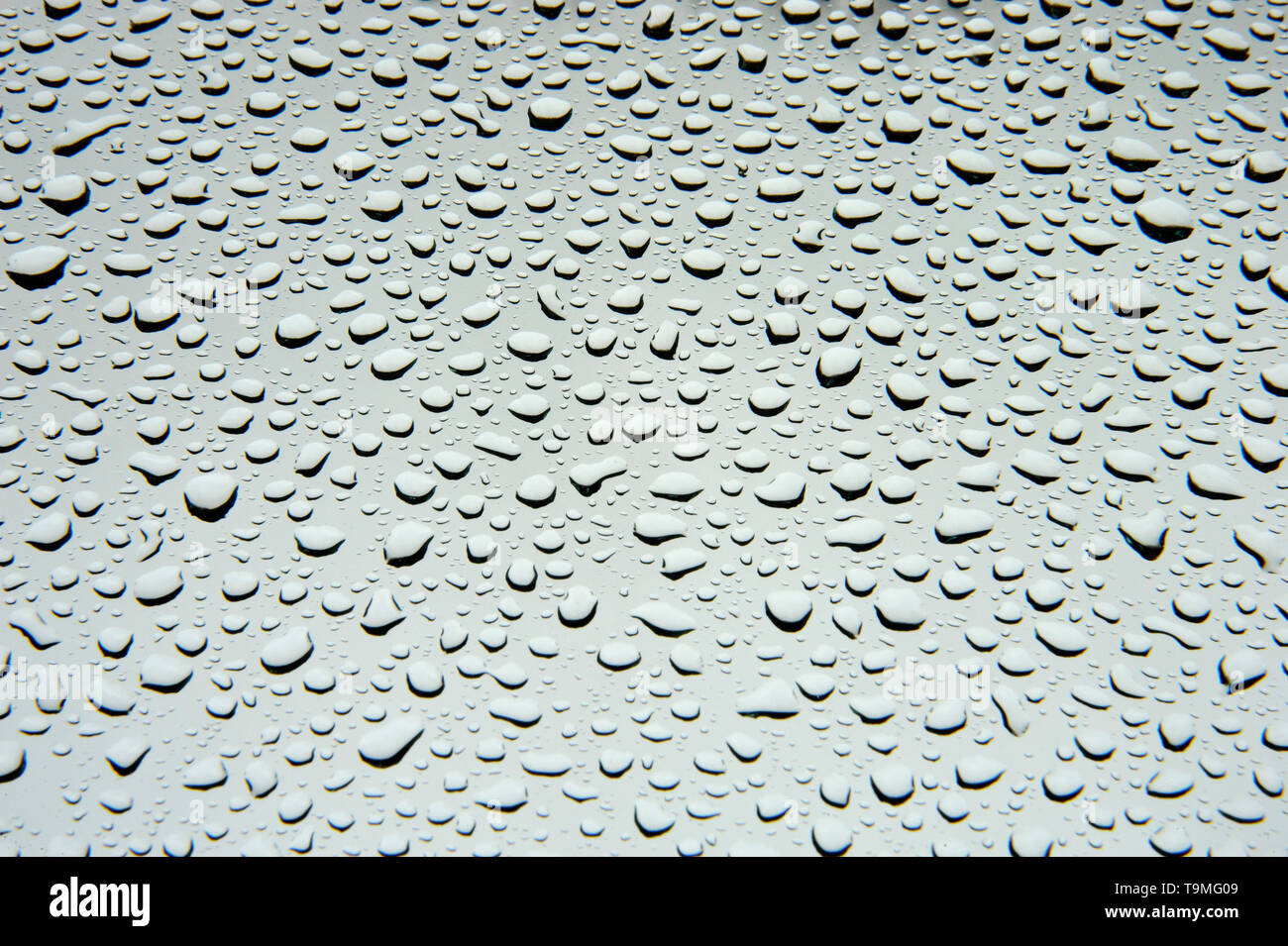 Abstract light drops rain hi-res stock photography and images - Alamy