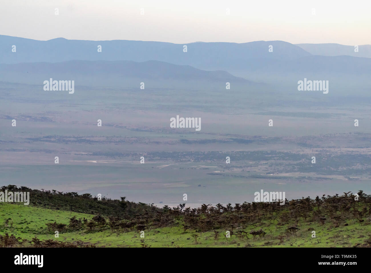 Ngorongoro Caldera and crater rim, Tanzania Stock Photo - Alamy