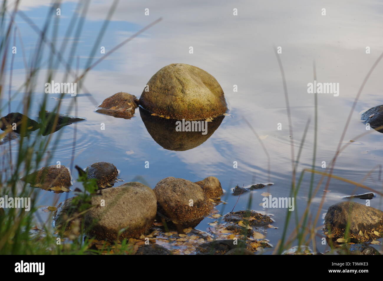 Intimate Landscape of Rounded boulders and Rushes by the Glassy Edge of ...