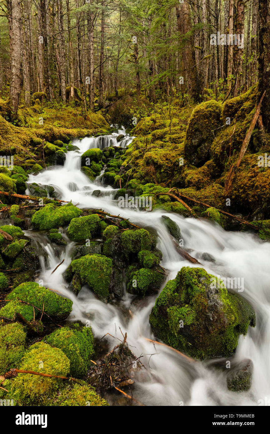 Cascade of water over boulders and moss from snow melt in spring from the Chugach Mountains ...