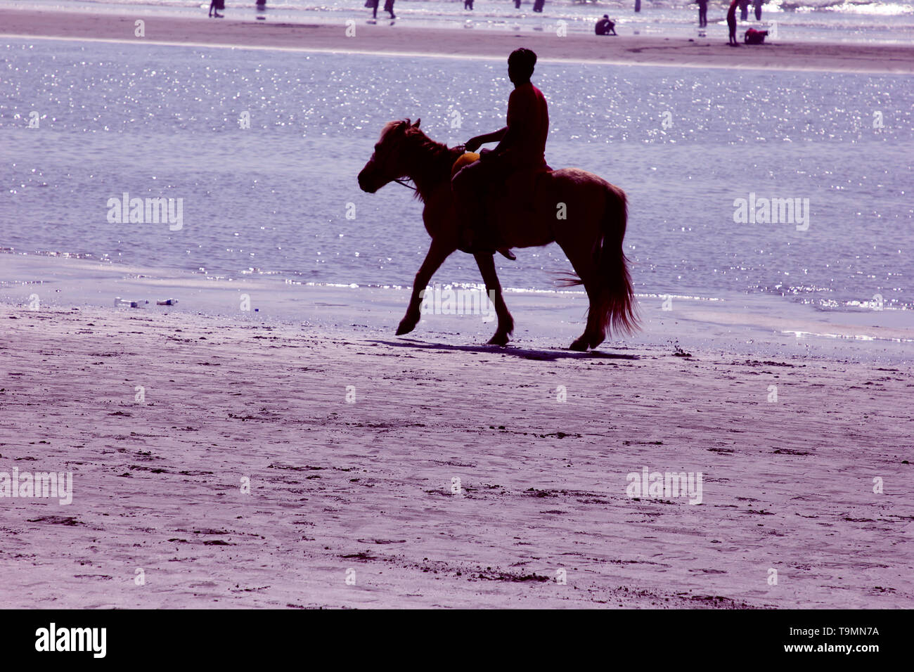 The sea beach horse rider Stock Photo - Alamy