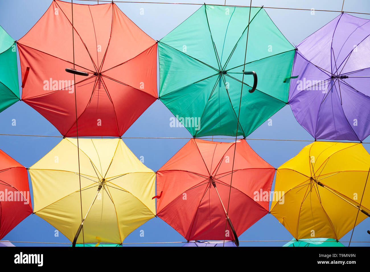 Red and blue sun umbrellas hi-res stock photography and images - Alamy