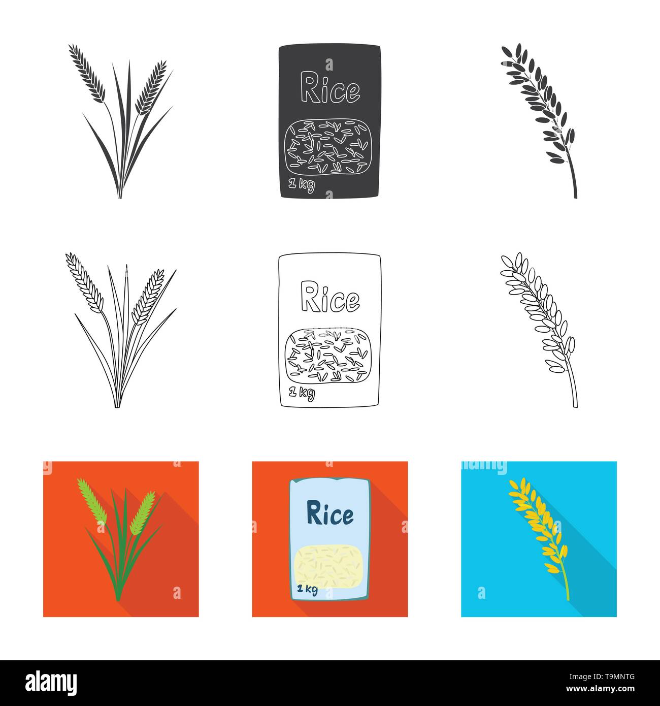 grain,packet,spikelet,rice,leaf,field,garden,white,growth,panicle,seed ...