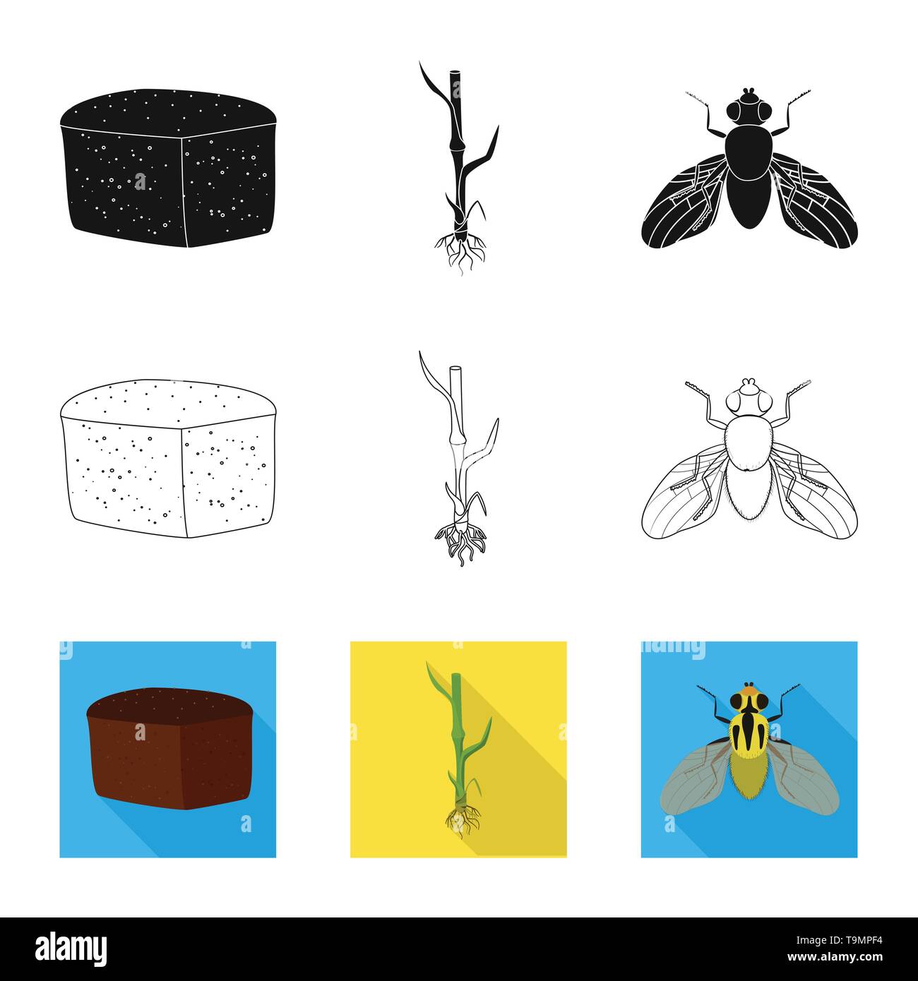 bread,stem,fly,root,insect,brown,pest,food,soil,control,healthy,seed ...