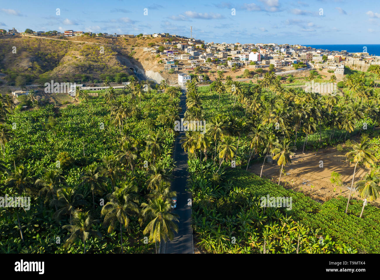 Cape verde sugar plantation hi-res stock photography and images - Alamy
