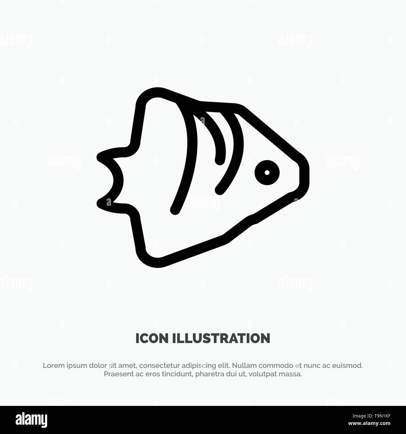 Coral reef fish starfish turtle hi-res stock photography and images - Alamy