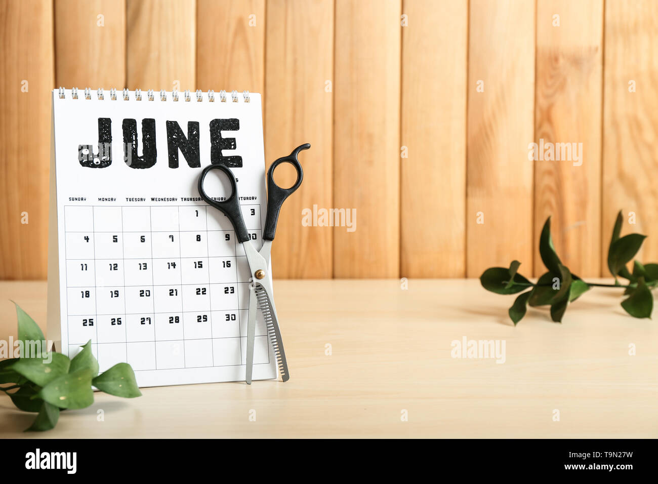 Planning Phases High Resolution Stock Photography and Images - Alamy