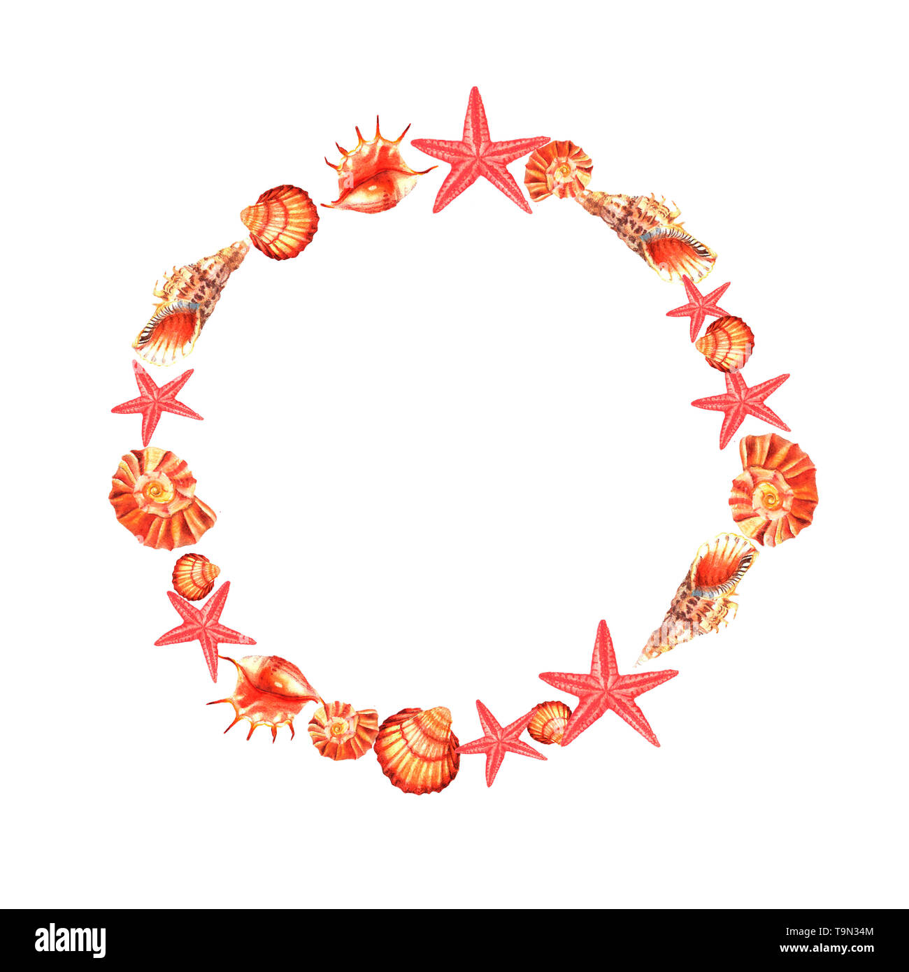 Watercolour hand painted circle frame of shells and sea-star on white ...