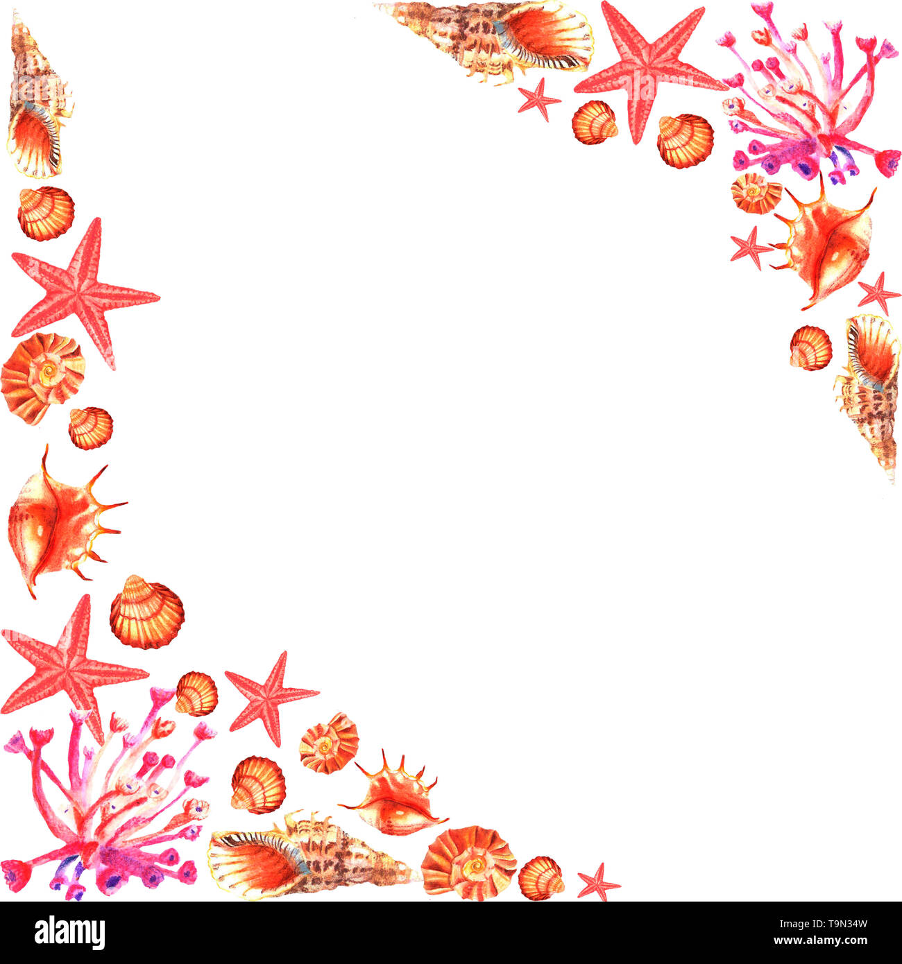 Watercolour hand painted frame of pink corals, shells, sea-star on ...