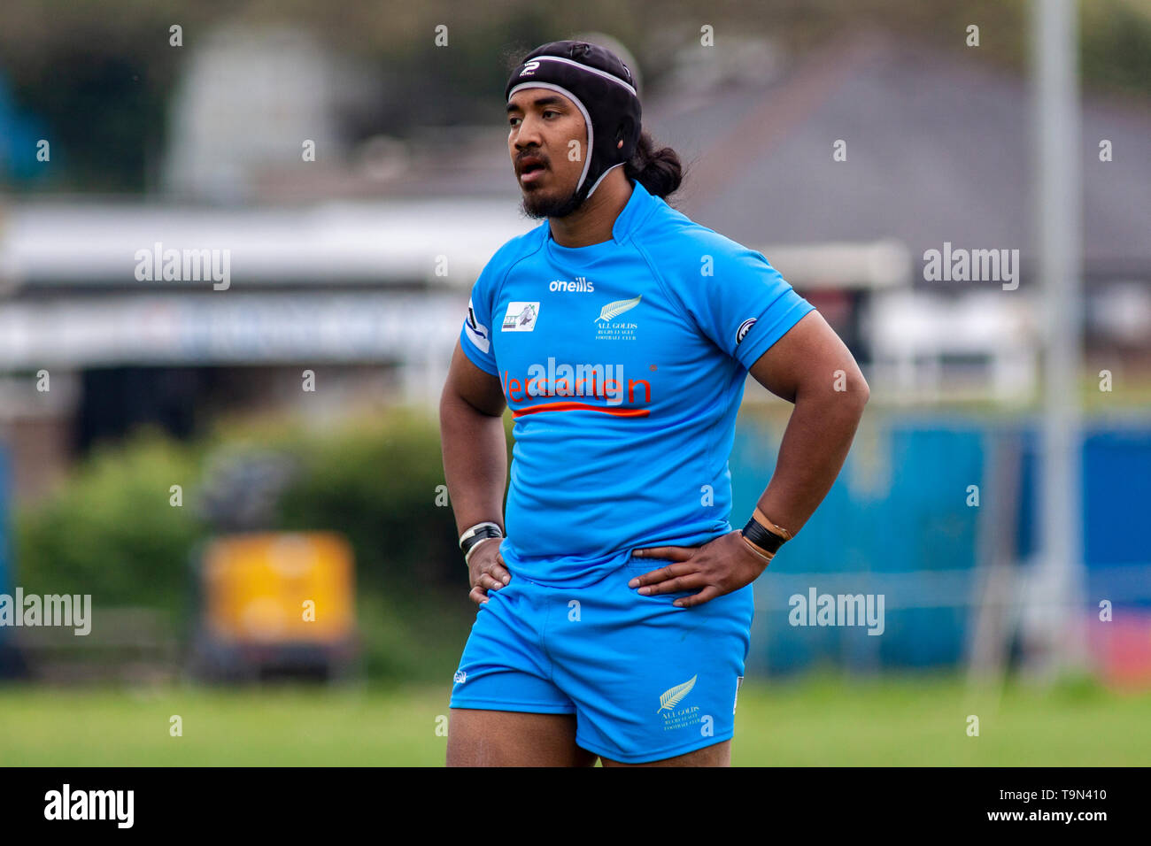 Dragons rfc hi-res stock photography and images - Alamy