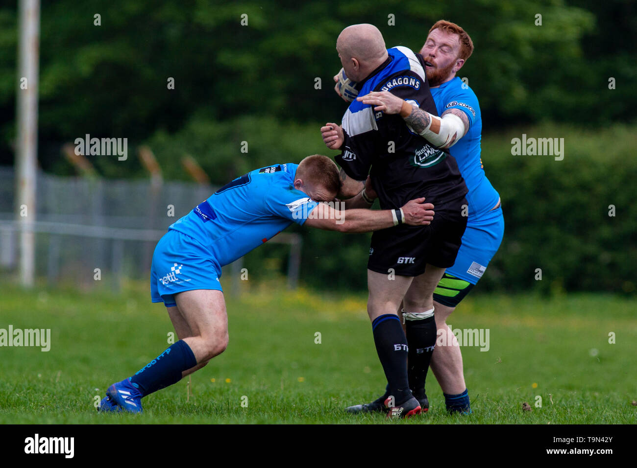 Cardiff blue dragons hi-res stock photography and images - Alamy