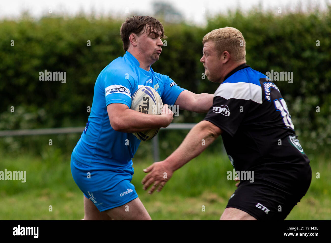 Cardiff blue dragons hi-res stock photography and images - Alamy