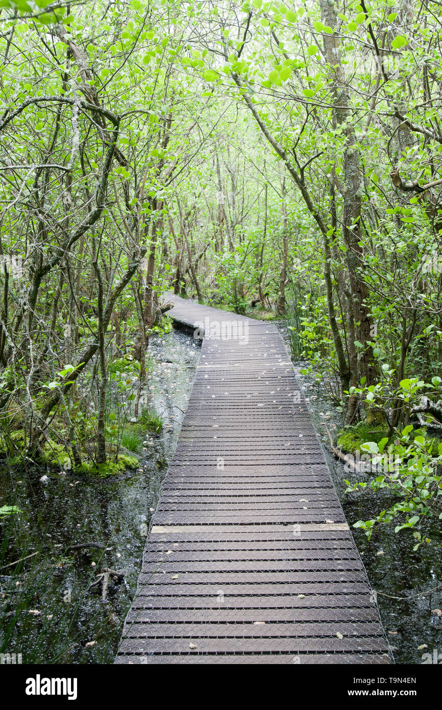 Brownsea Island Dorset England Stock Photo - Alamy