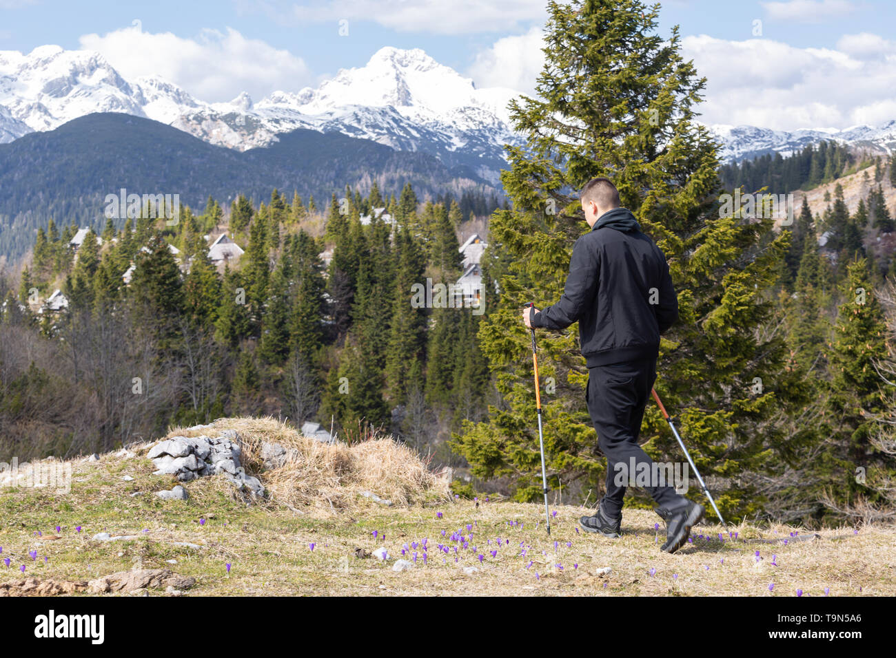 Casual and active healthy man hiking in Alpine mountains with trekking ...
