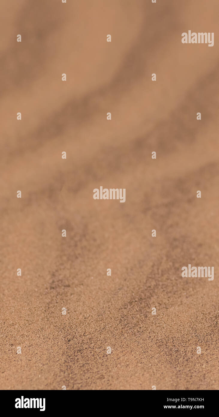 Sandy nature background image - sandy area of Crex Meadows Wildlife ...