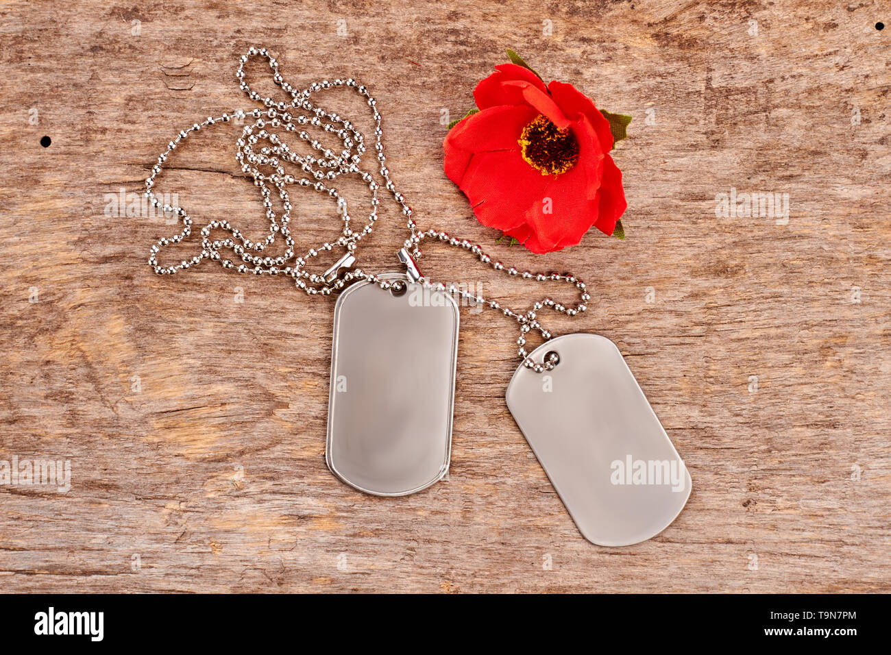 Dog tags and red poppy Stock Photo - Alamy
