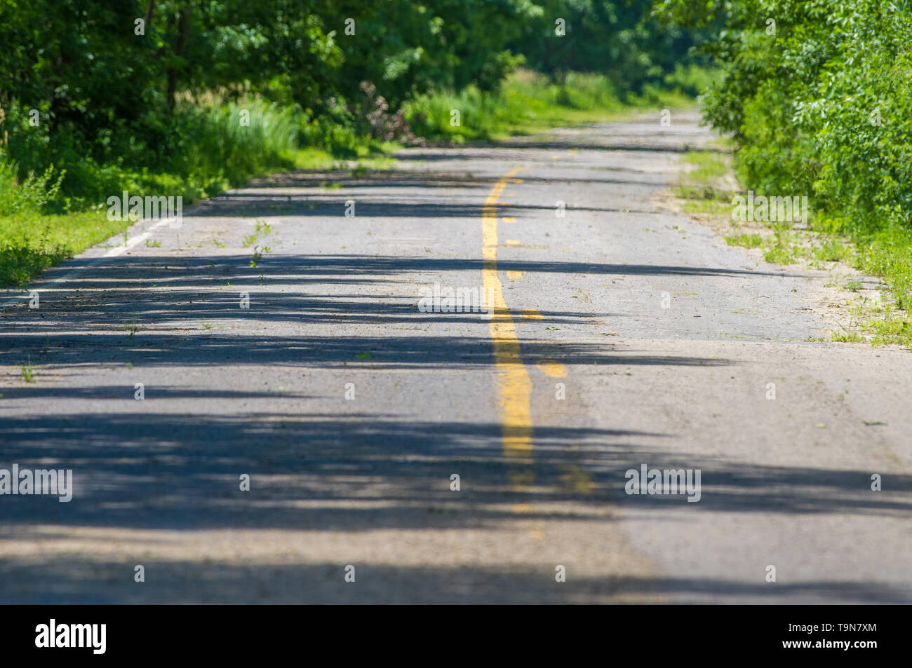Curved rural paved road in the summer Stock Photo - Alamy