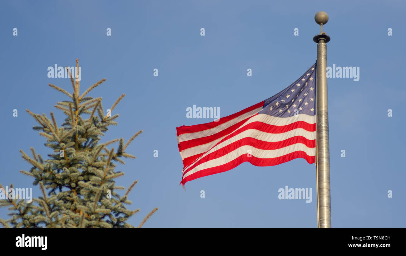 American flag flowing in the wind with an evergreen pine tree next to ...