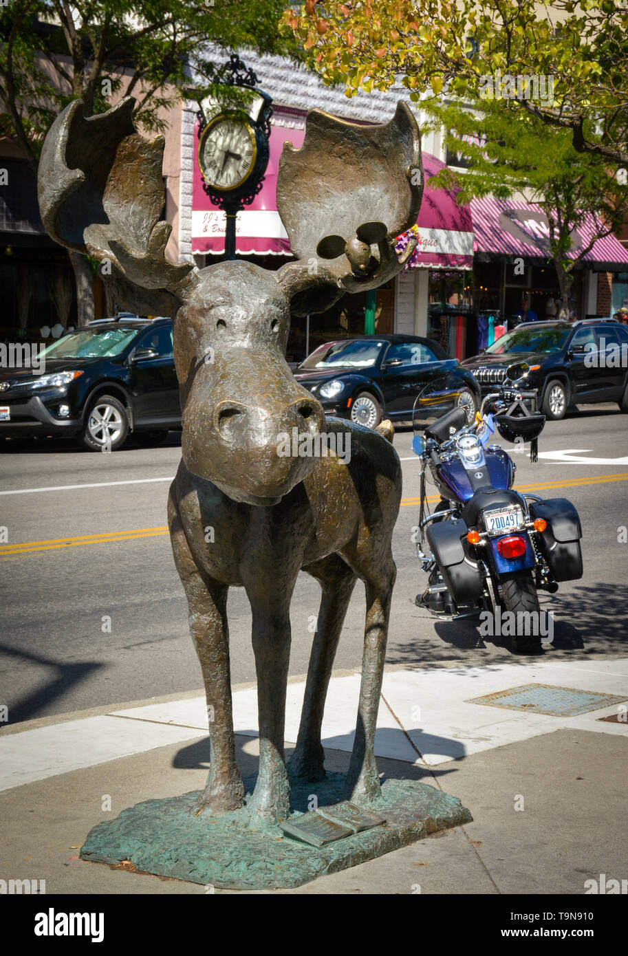 Moose statue hi-res stock photography and images - Alamy