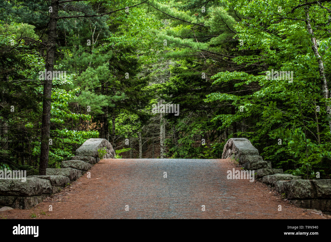 A carriage road in Acadia National Park, Maine, USA, New England US ...