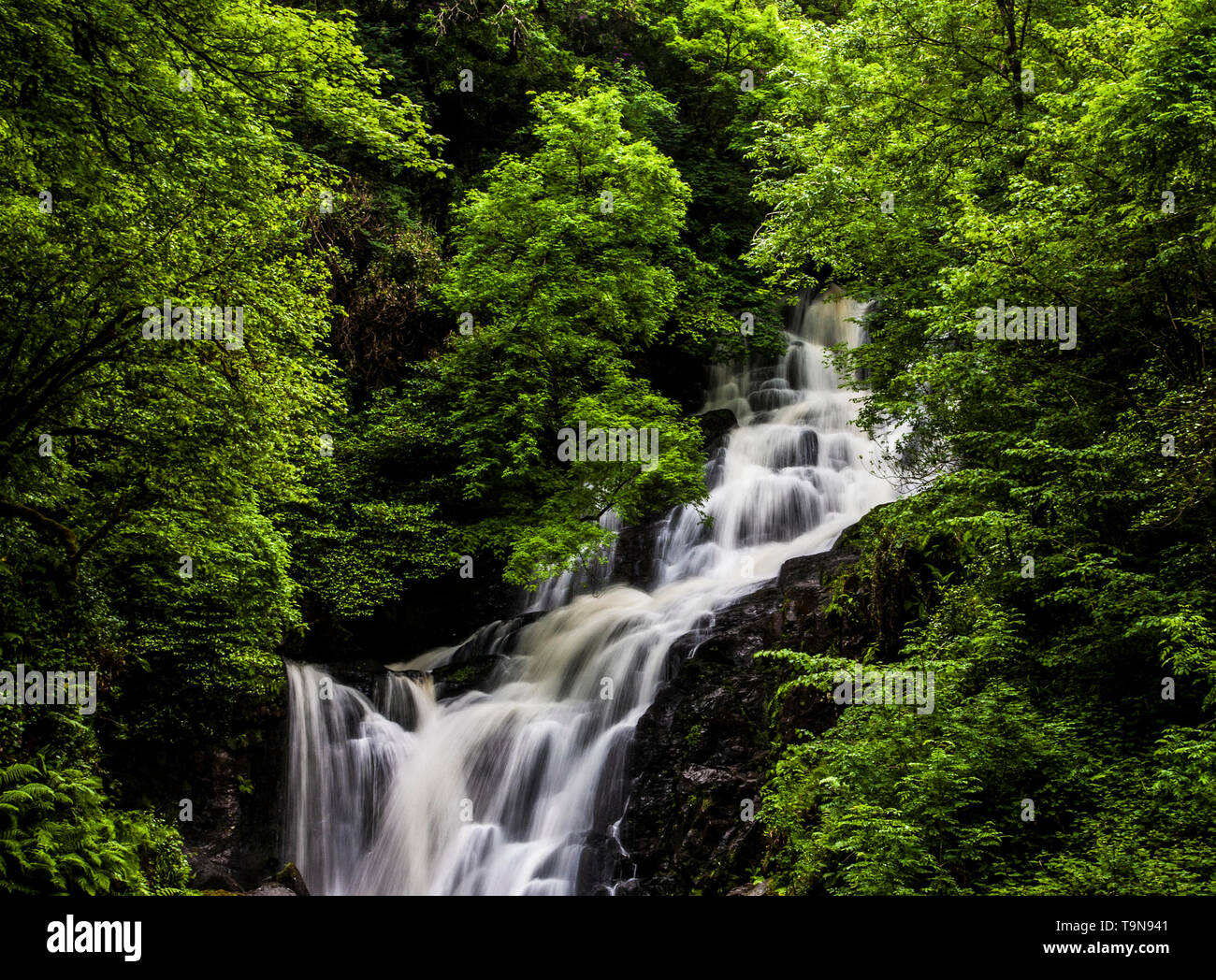 Scenic Torc waterfalls, falls, Killarney National Park, County Kerry ...