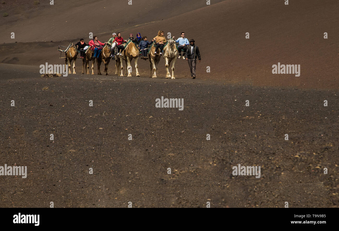 Bactrian camel with rider hi-res stock photography and images - Alamy