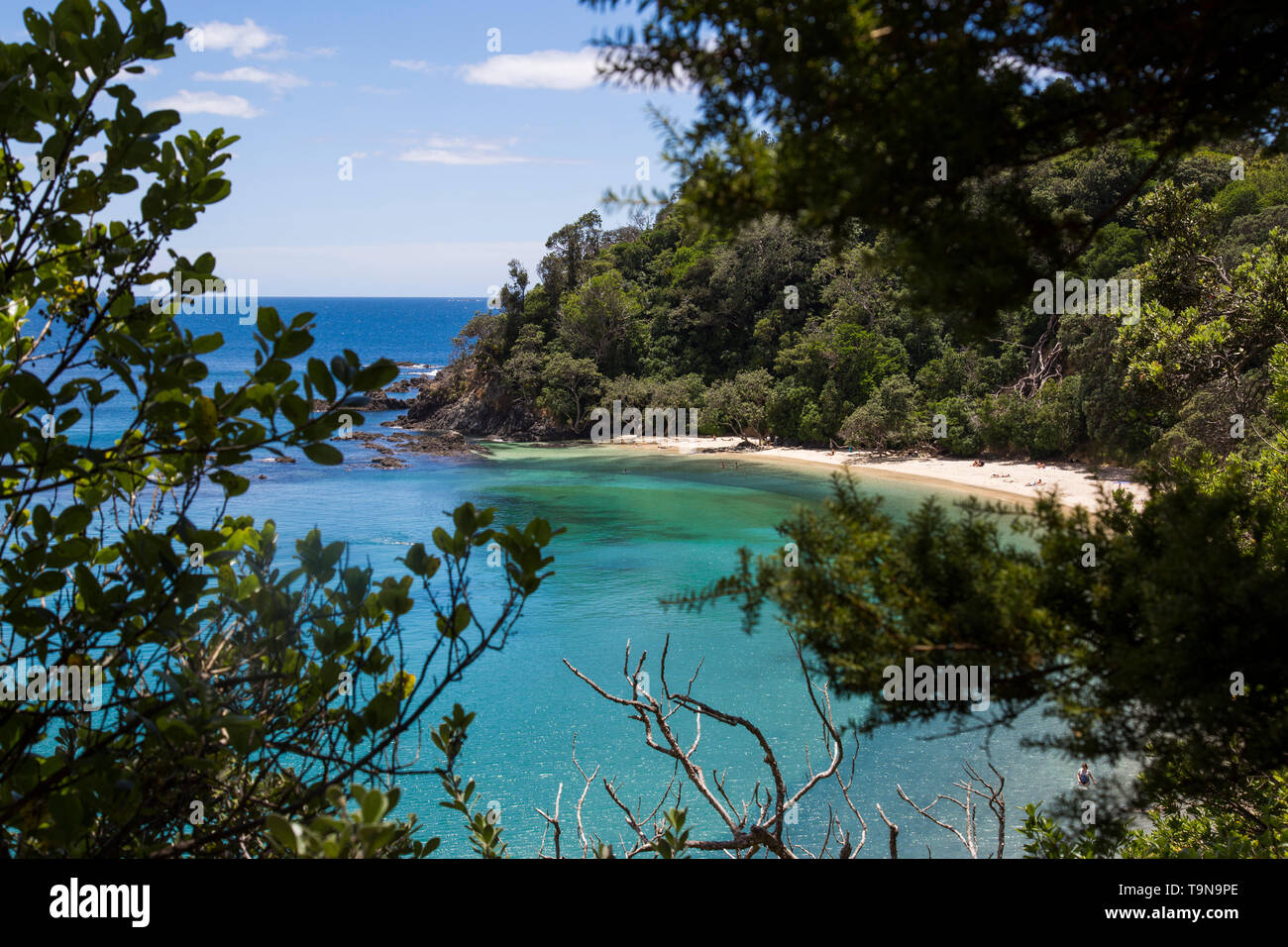 View through trees walking down to Whale Bay. Glorious white sand beach ...